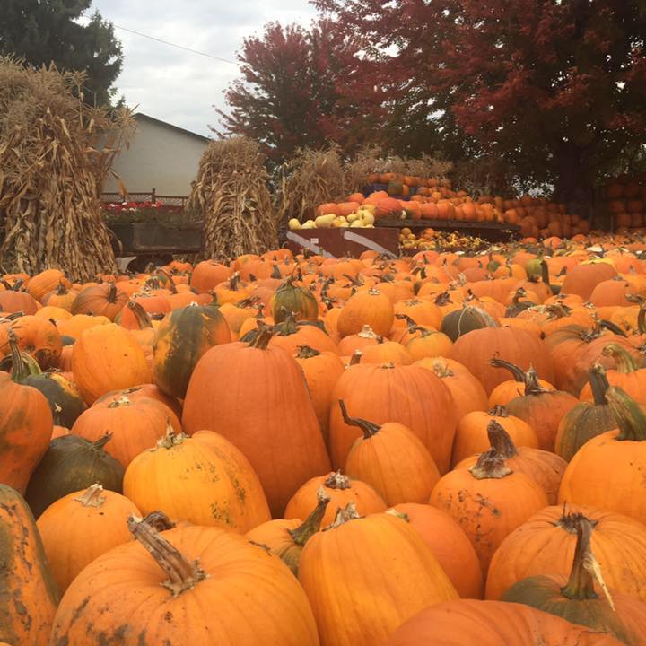 Don-O-Ray Farms - Kelowna, BC | Okanagan Local