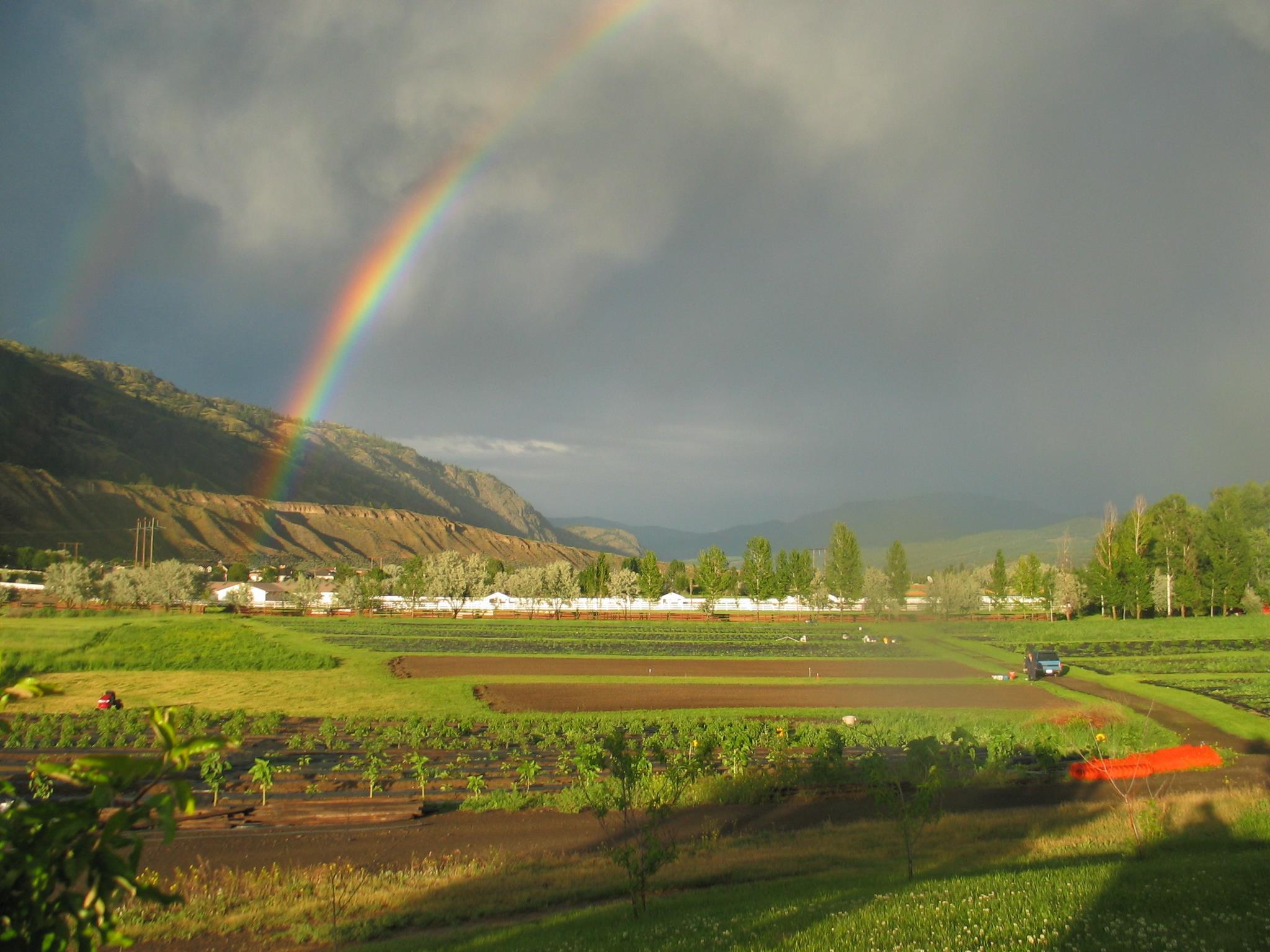 SSOL Gardens - Kamloops, BC | Okanagan Local