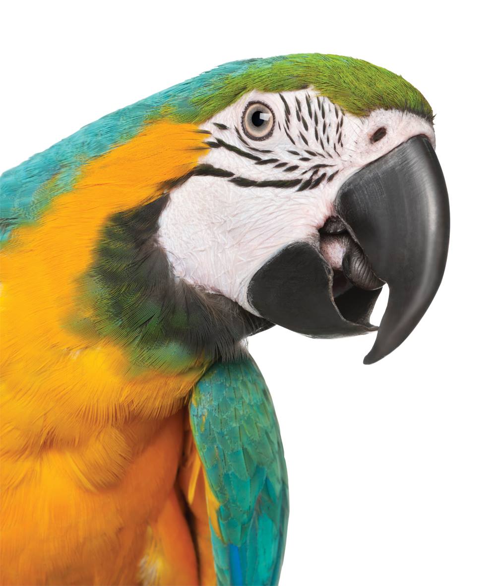 Source Graphics & Print Co Ltd - Kelowna, BC | Okanagan Local